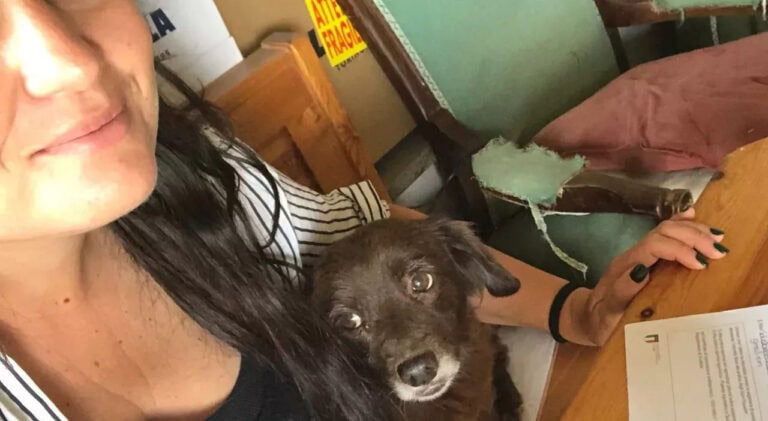 Susetta, cagnolina di 21 anni: una delle più longeve al mondo, fu ...