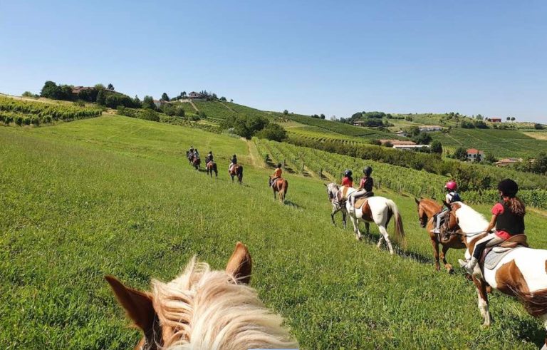 Toscolano Maderno, cade da cavallo durante un'escursione e resta ...
